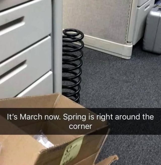 The Best March Memes :) Memedroid