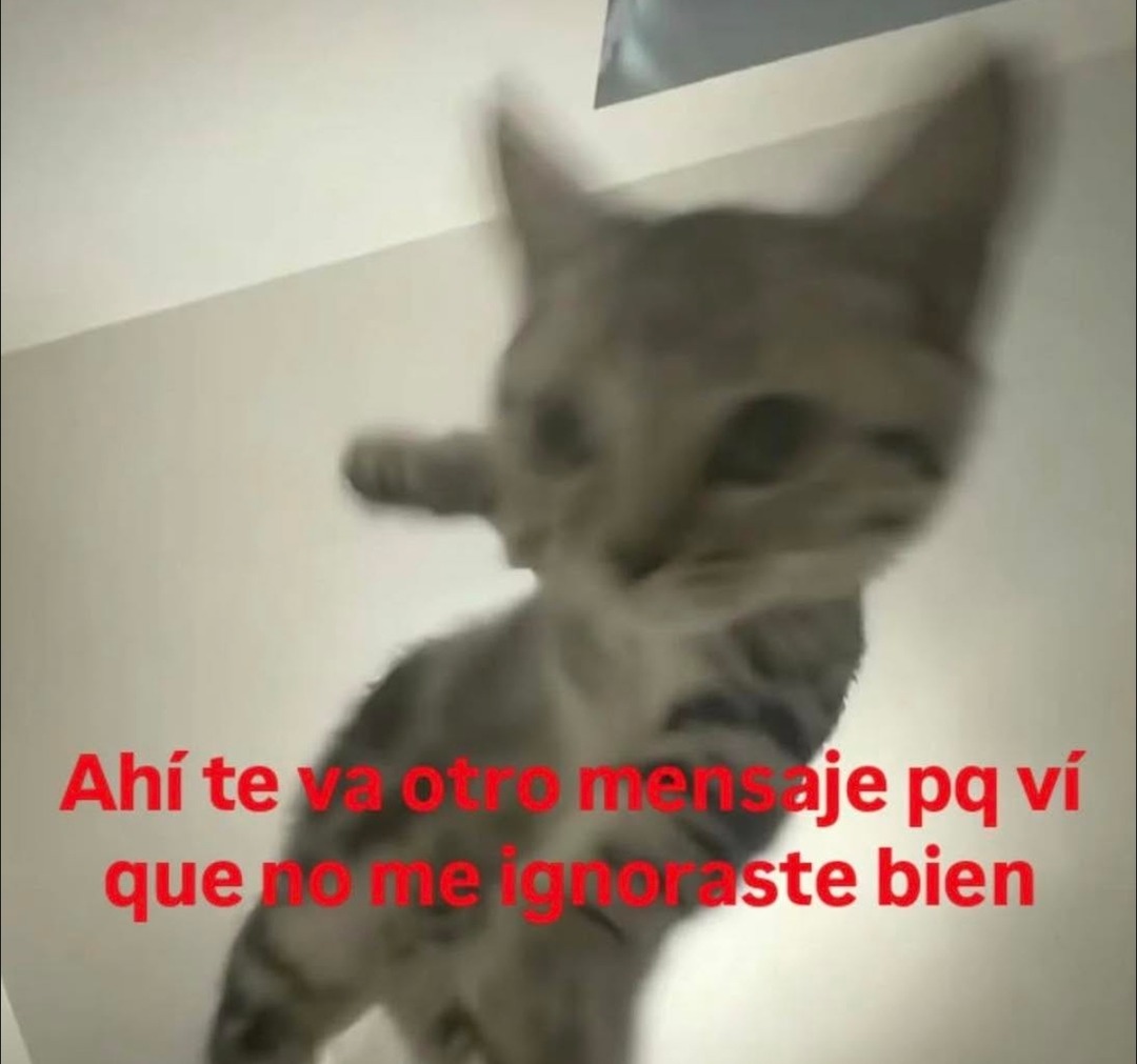 Top memes de Ignorado en español :) Memedroid