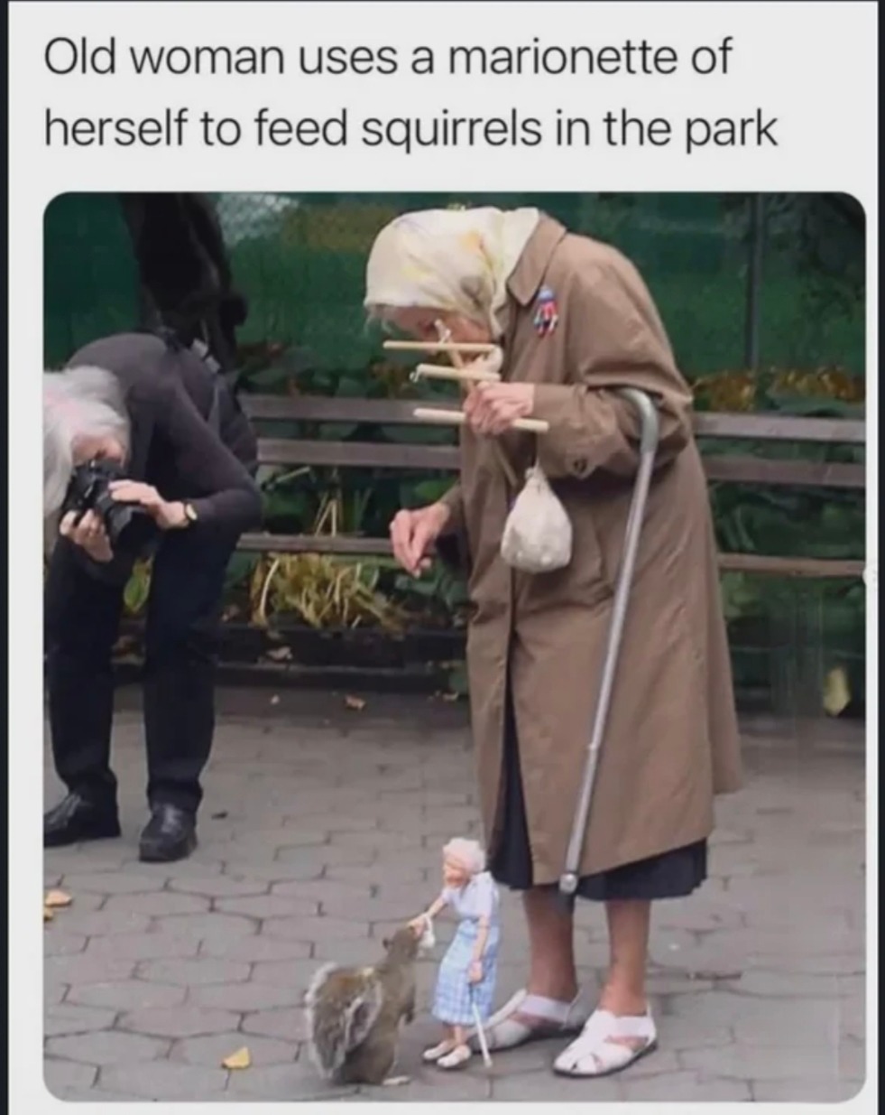 The best Squirrel memes :) Memedroid