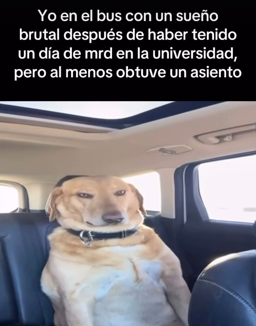 Top memes de Cansancio en español :) Memedroid