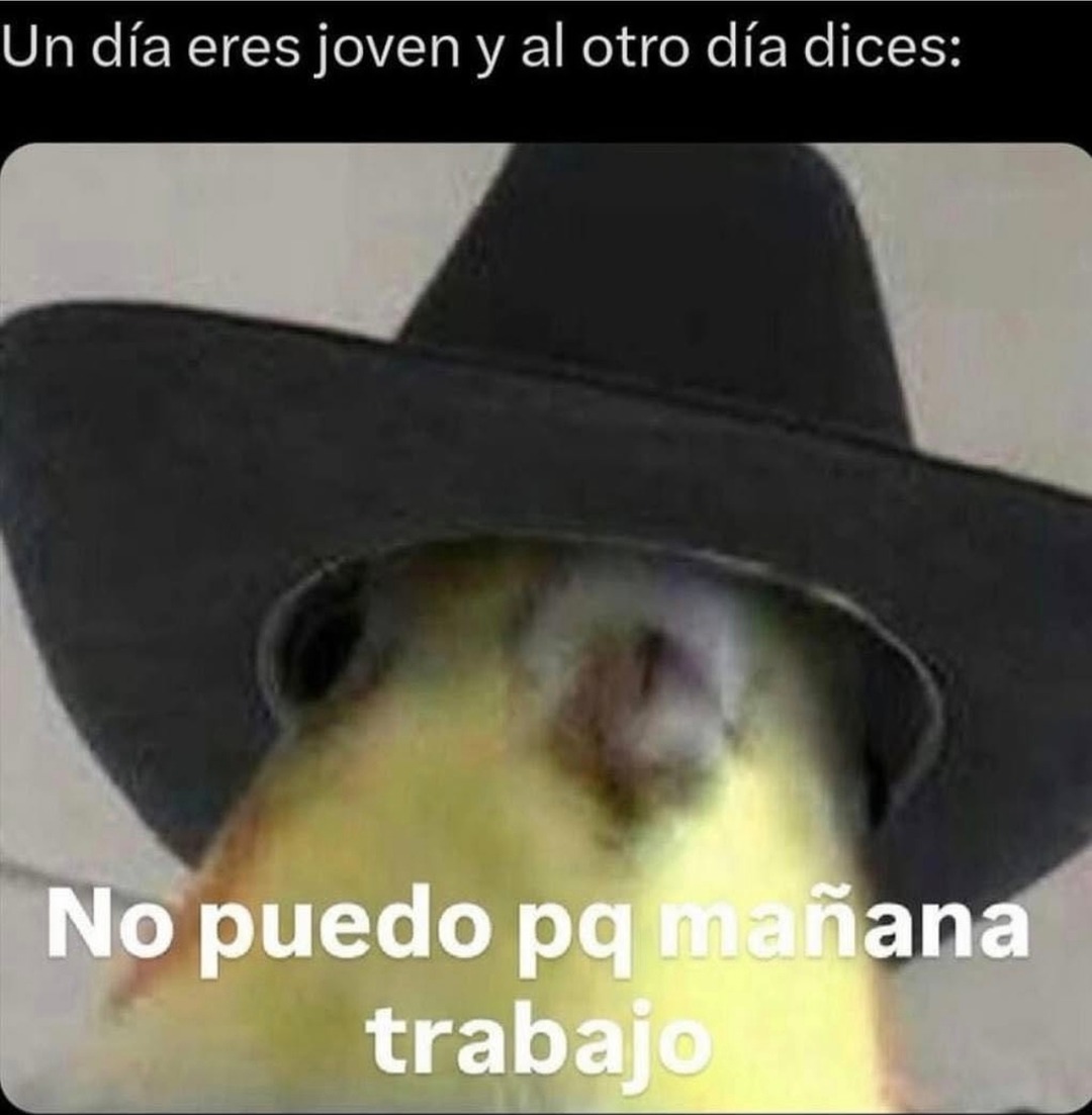 Los mejores memes del día en español :) Memedroid