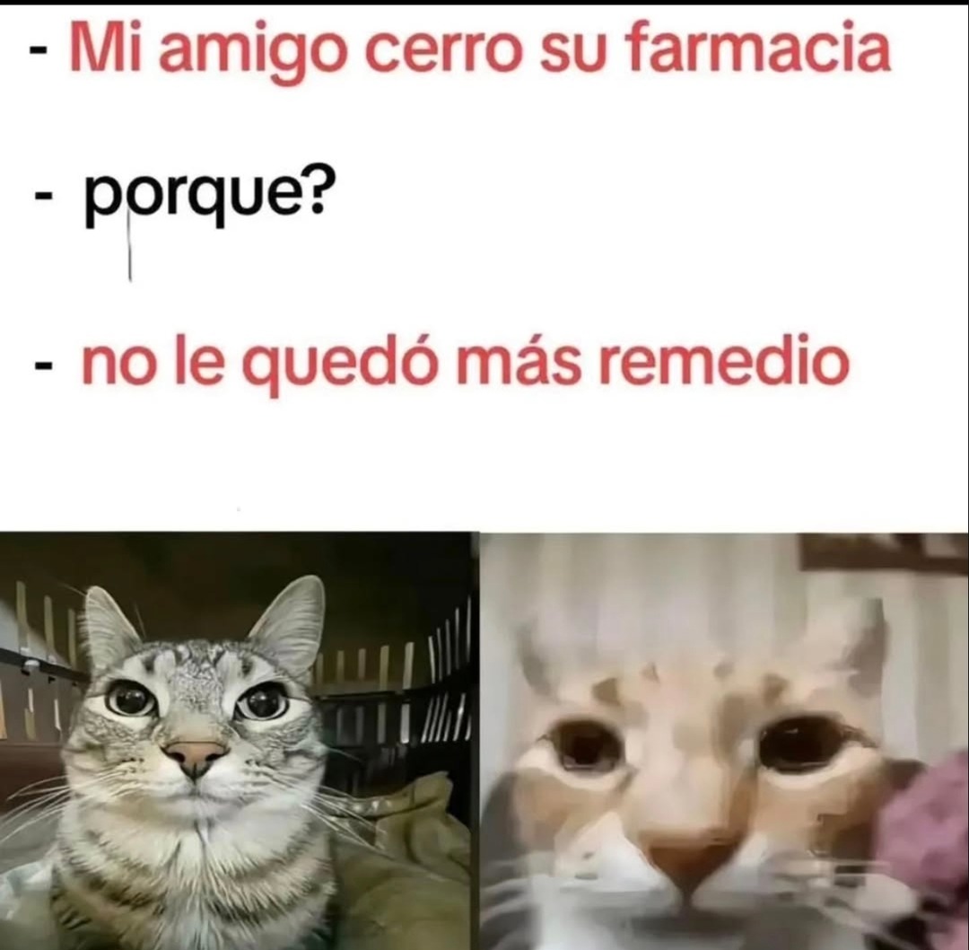 Los Últimos Memes :) Memedroid