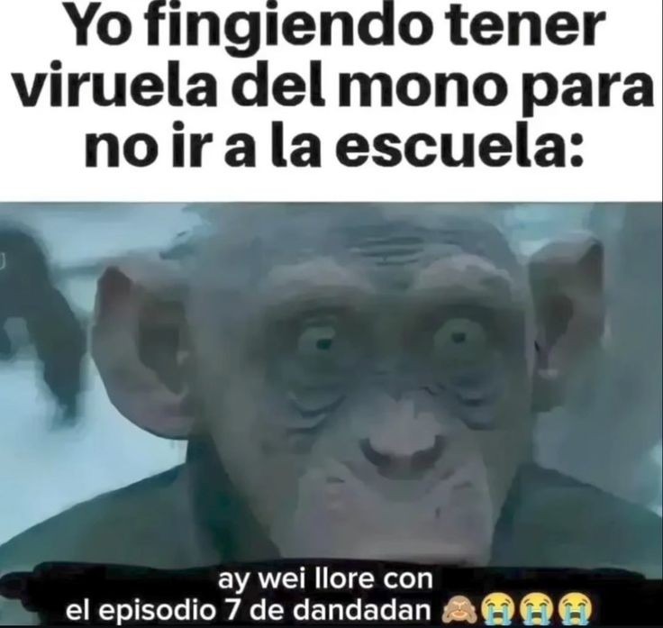 Top memes de Lirusisar en español :) Memedroid